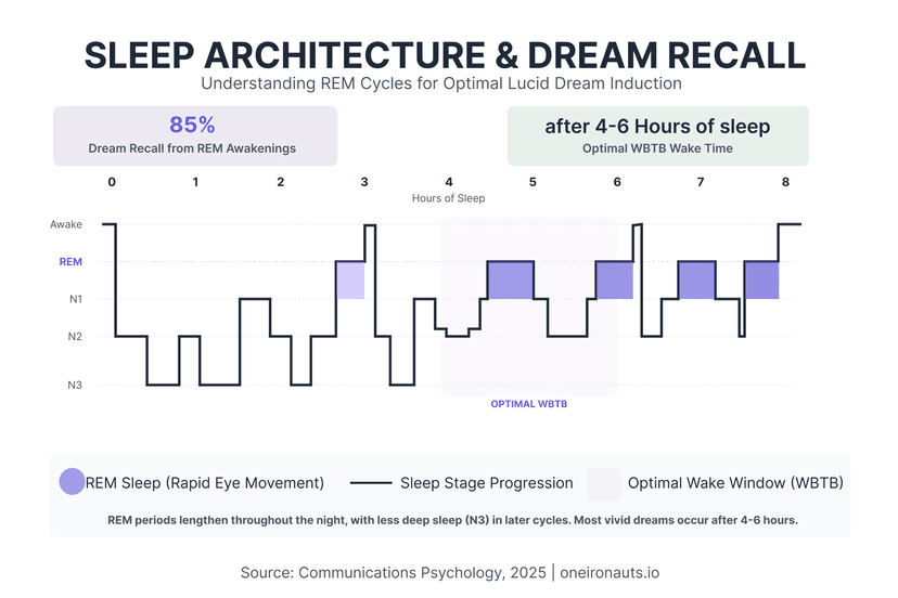Sleep Cycles Explained: 4 Stages, 90-Min Cycles & How Sleep Works ...